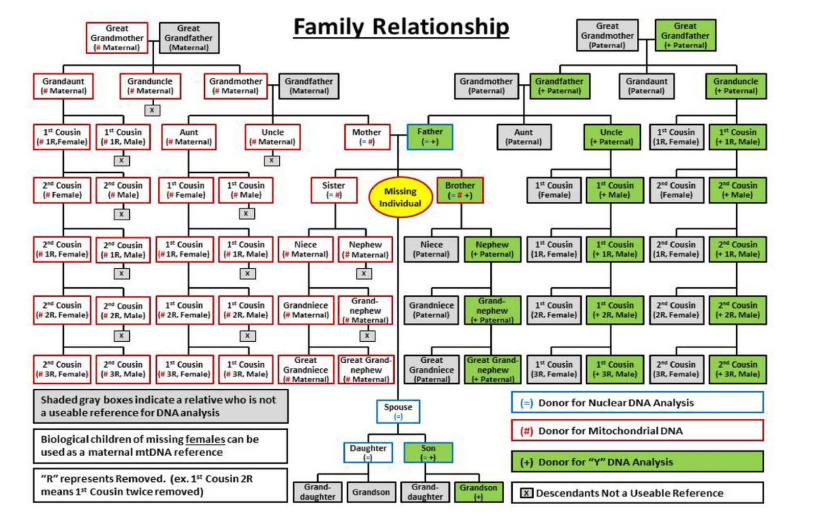 Understanding DPAA DNA Technology & Identification Methods